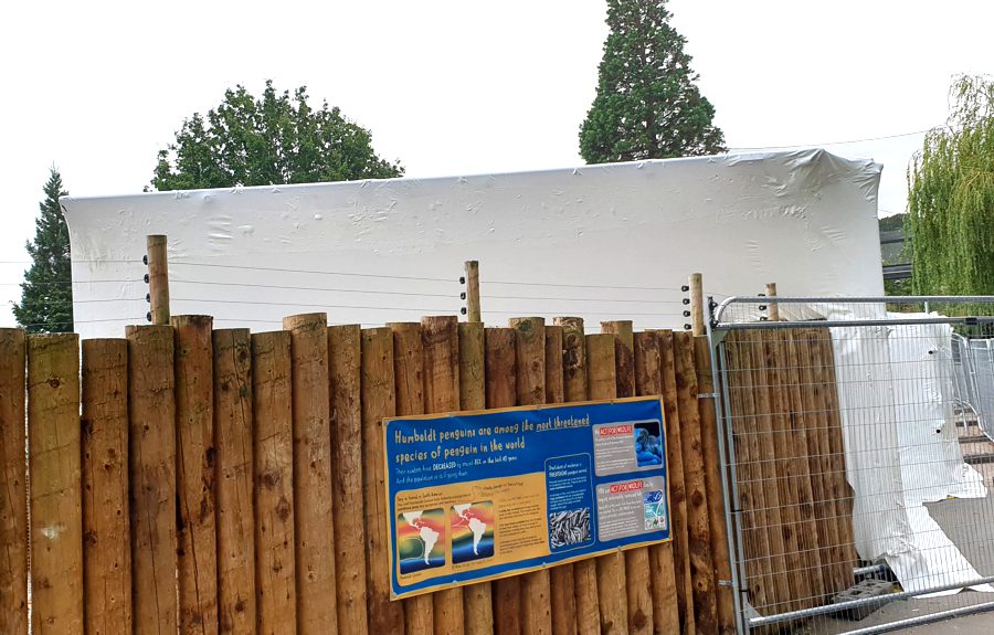 Gorilla Access | Encapsulation